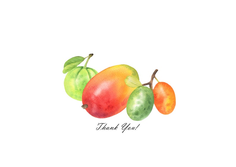 Watercolor Tropical Fruit Clipart, Summer Fresh Exotic Fruits Clip Art ...