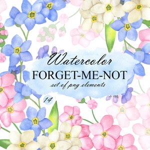Watercolor Forget Me Not Clip Art, Blue, Pink and White Flowers Clipart, Spring Flowers Set ...