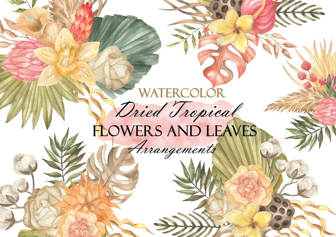 Watercolor Boho Floral Arrangements Clipart, Dried Tropical Flowers and ...
