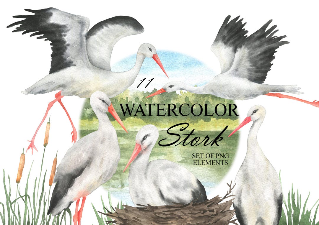 Watercolor Stork Clipart Set, Flying Birds PNG (digital Download) - Etsy