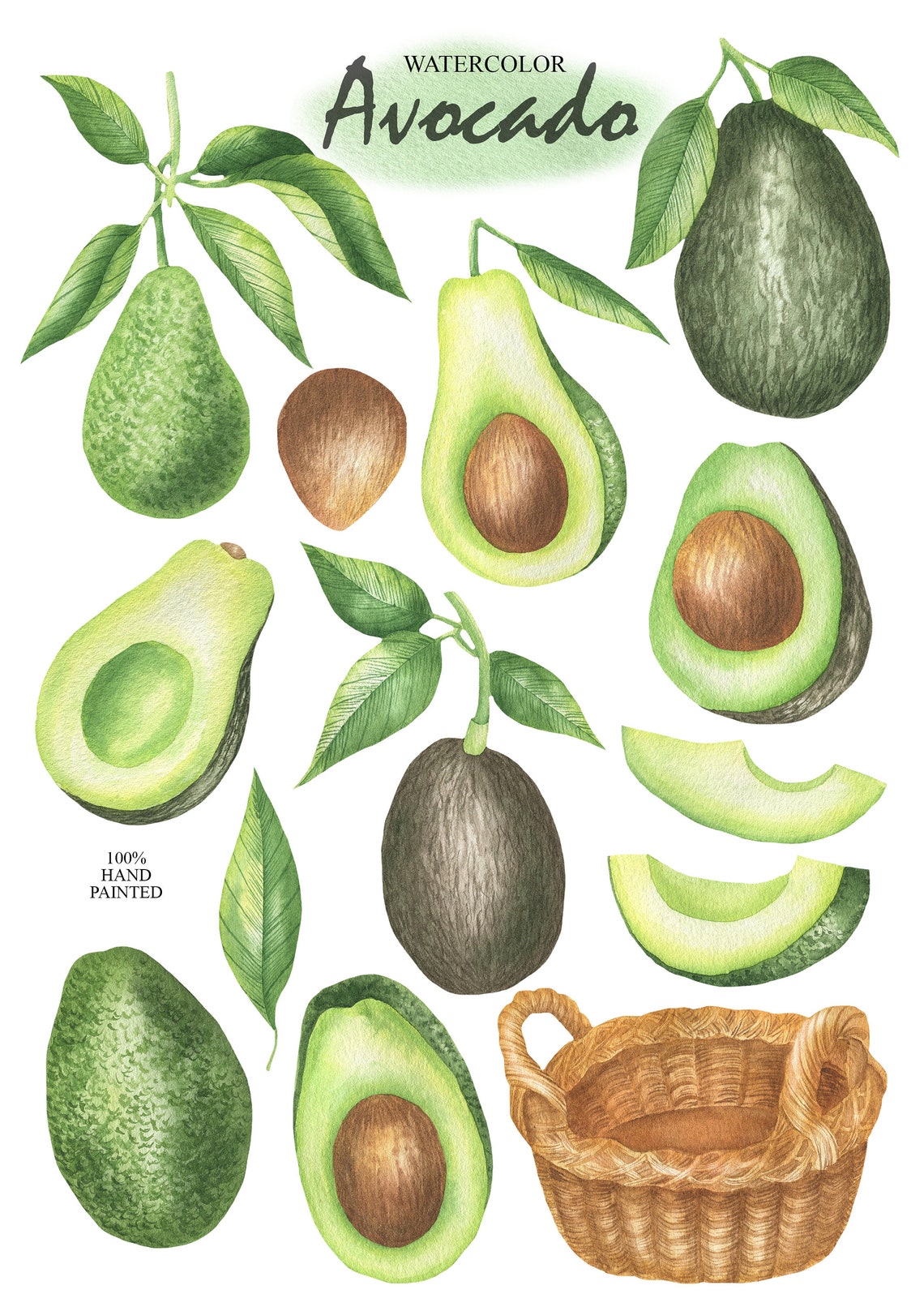 Watercolor Avocado Clipart, Tropical Fruit Clip Art, Avocado Print ...