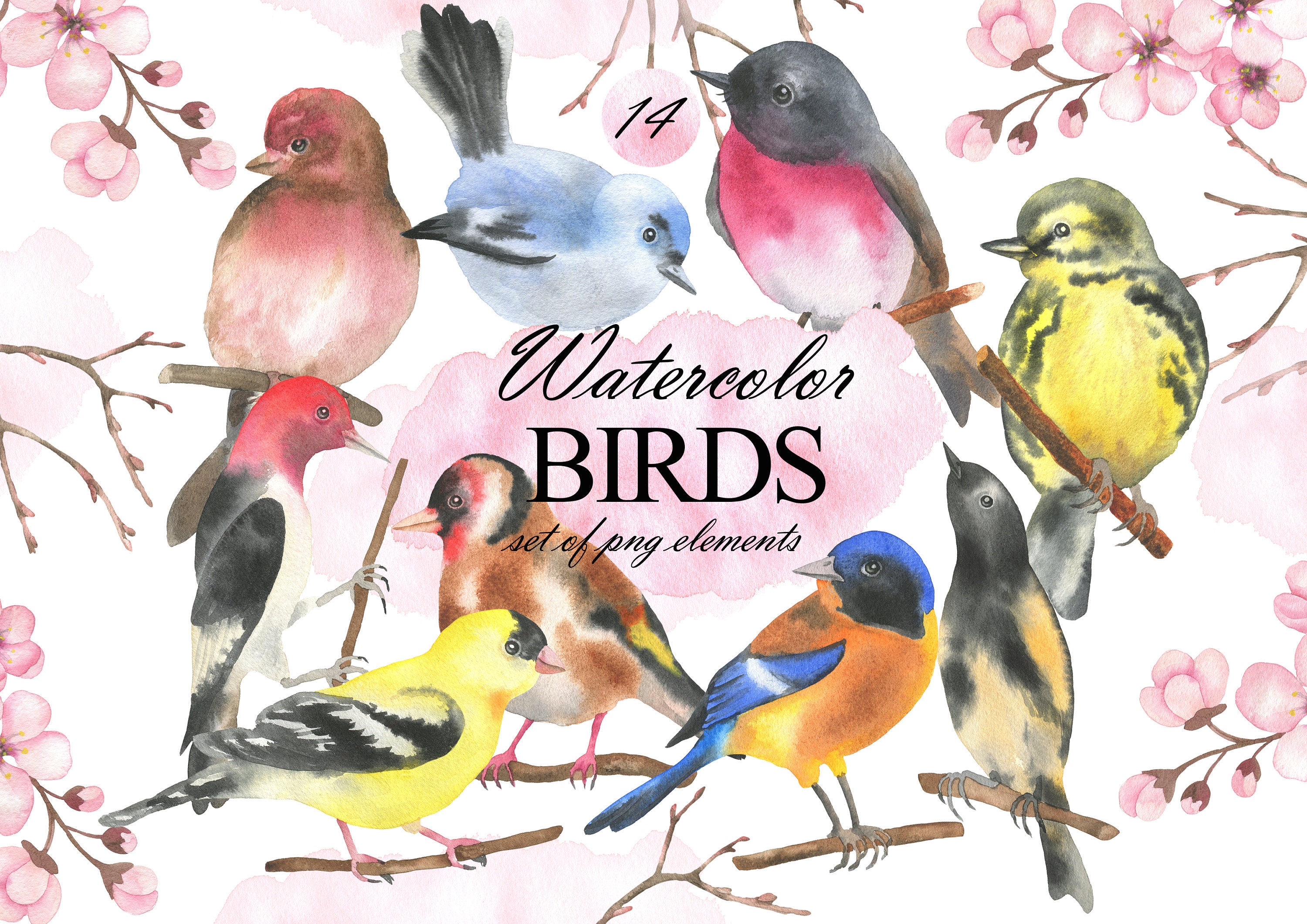 Watercolor Birds Clipart, Spring Bird Clip Art, Colorful Birds on ...