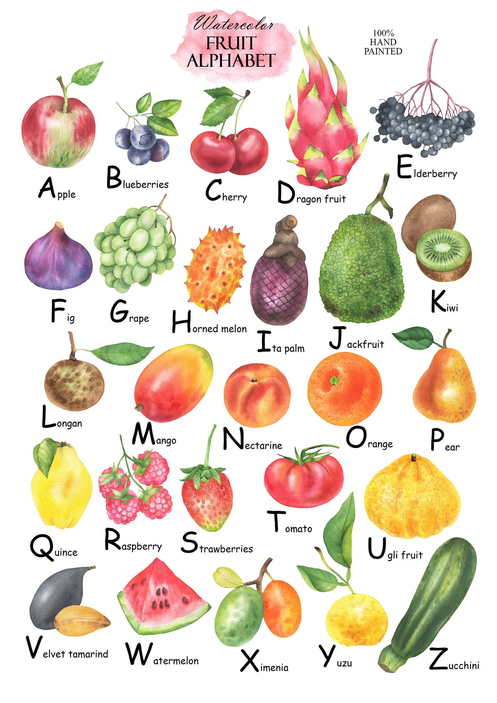 Watercolor Fruit Alphabet Clipart 2, Fruits ABC, Alphabet Poster ...