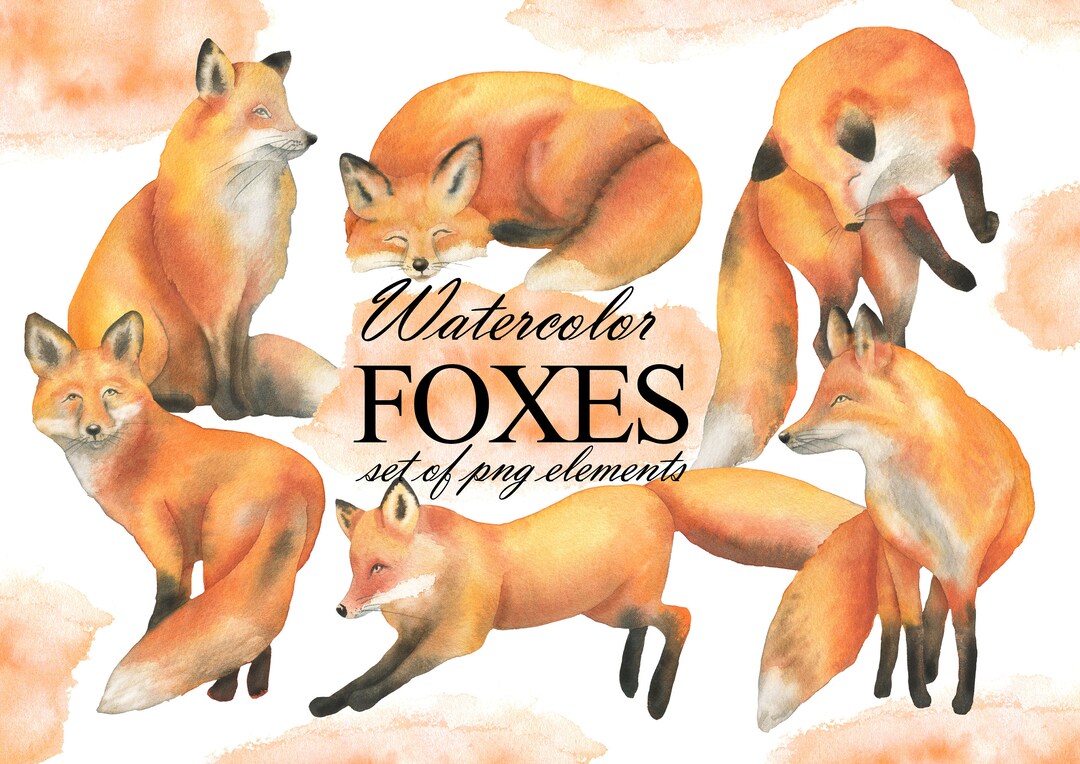 Watercolor Fox Clipart, Forest Animals, Painted Foxes, Woodland Animal ...