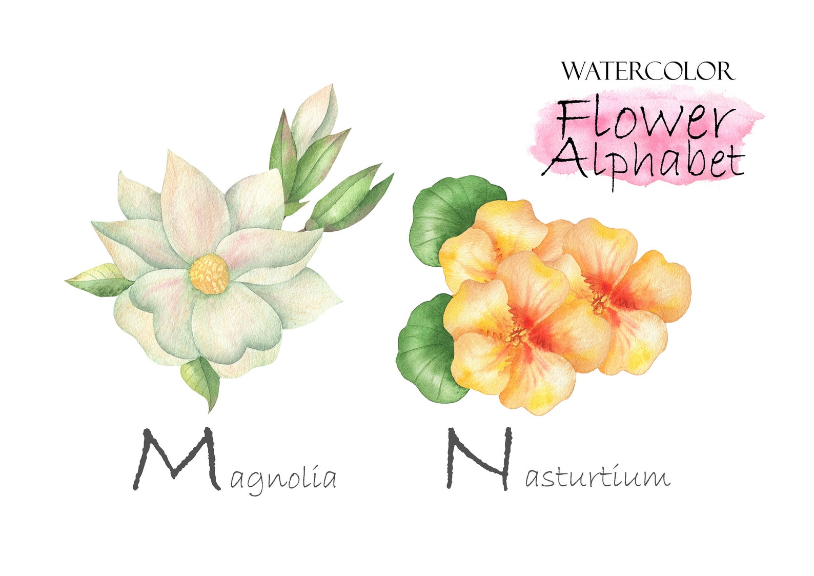 Watercolor Flower Alphabet Clipart, Flowers ABC, Alphabet Poster ...