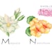 Watercolor Flower Alphabet Clipart, Flowers ABC, Alphabet Poster ...