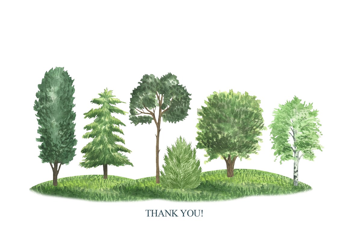 Green Trees Watercolor Clipart Forest Tree Landscape Clipart | Etsy