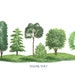 Green Trees Watercolor Clipart, Forest Tree Landscape Clipart, Nature ...