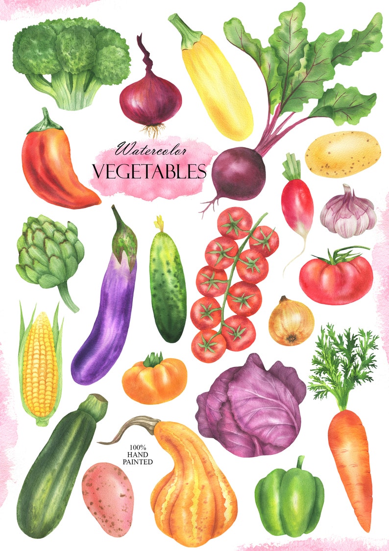 Watercolor Vegetable Clipart, Farm and Kitchen Cabbage, Tomato ...