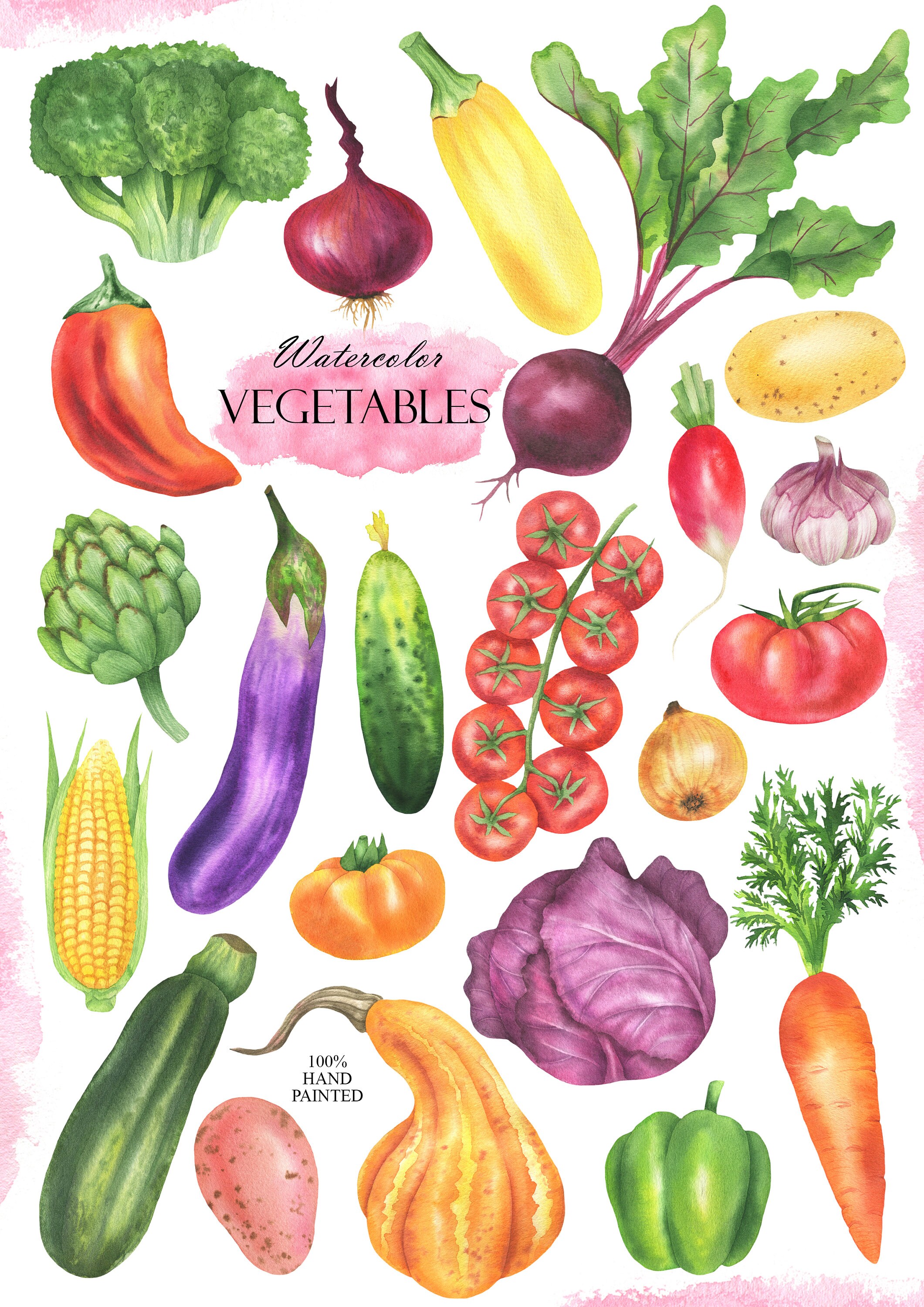 Watercolor Vegetable Clipart, Farm and Kitchen Cabbage, Tomato ...