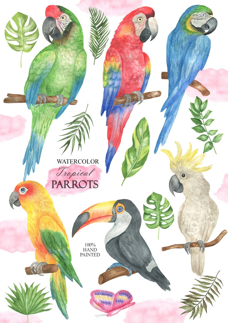 Watercolor Tropical Parrots Clipart, Summer Jungle Birds Toucan, Macaw ...