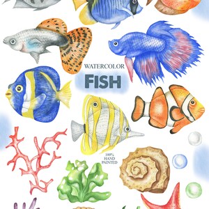 Watercolor Fish Clipart, Colorful Tropical Fish Clip Art, Sea Animals ...