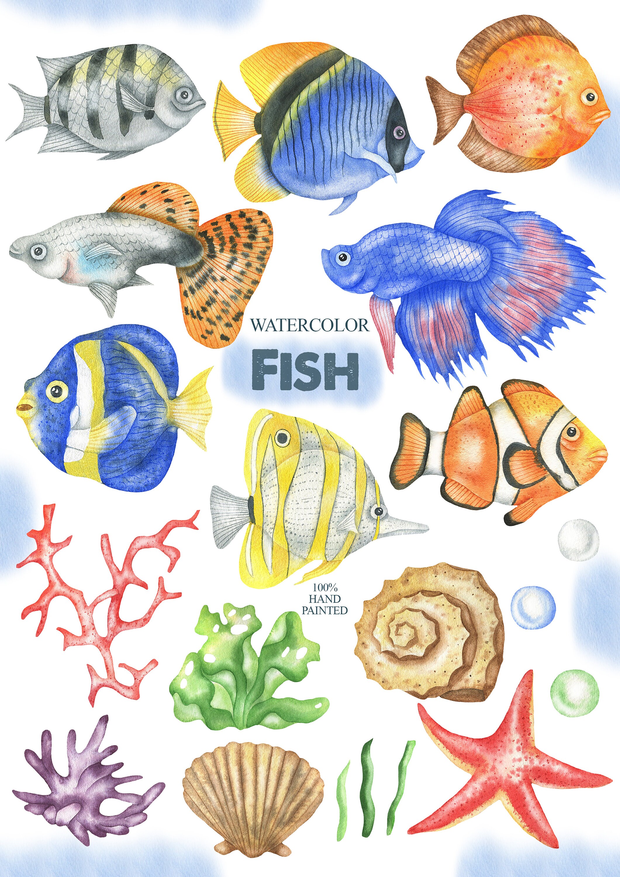 Watercolor Tropical Fish Clipart, Nautical PNG (digital Download) - Etsy