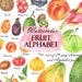 Watercolor Fruit Alphabet Clipart, Fruits ABC, Alphabet Poster ...
