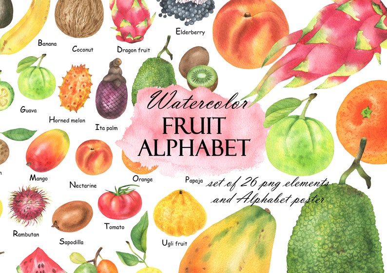 Watercolor Fruit Alphabet Clipart, Fruits ABC, Alphabet Poster ...