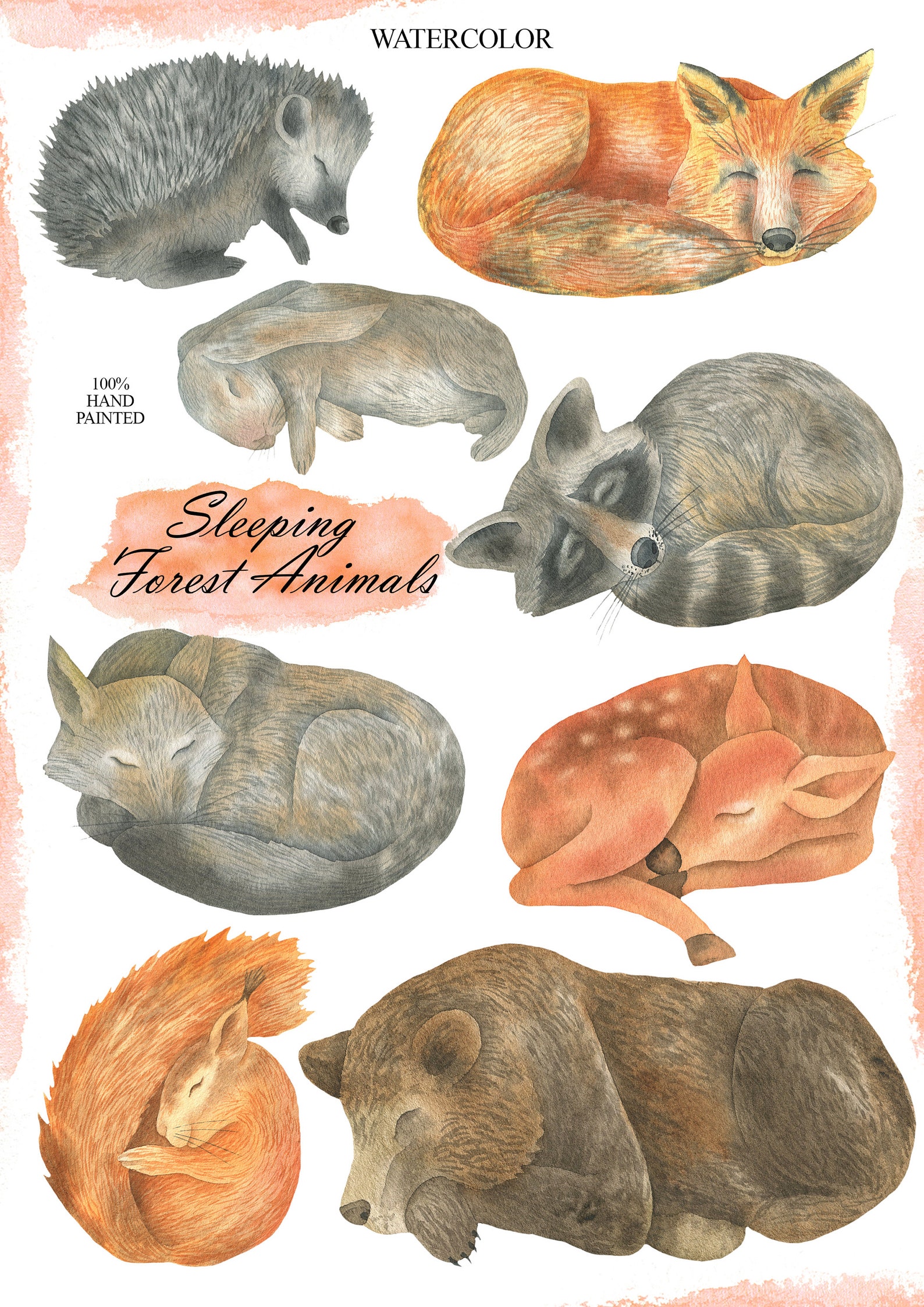 Sleeping Forest Animals Watercolor Clipart, Woodland Animal Clip Art ...