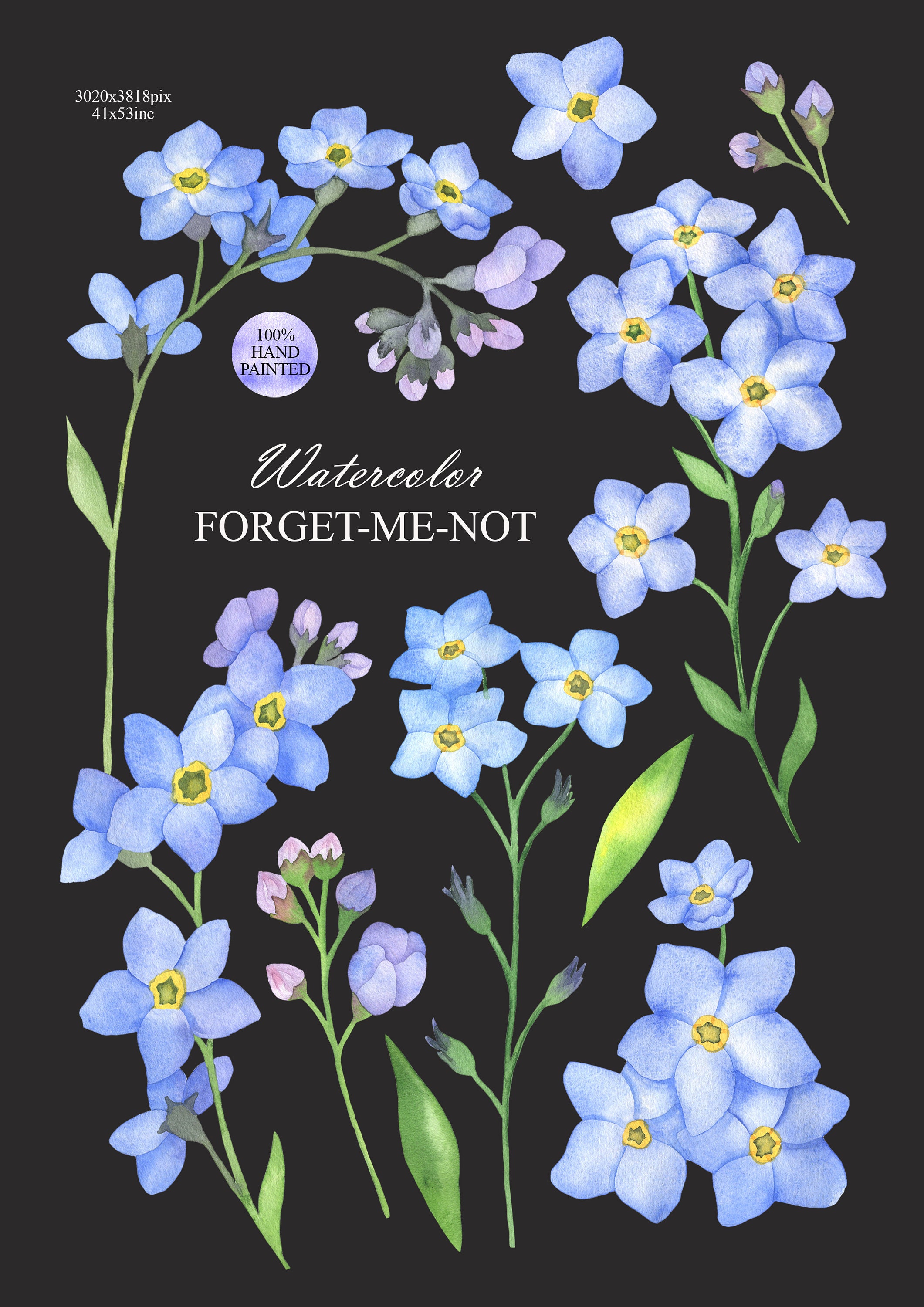 Watercolor Forget Me Not Clipart, Blue Flowers Clip Art, Spring Flowers ...