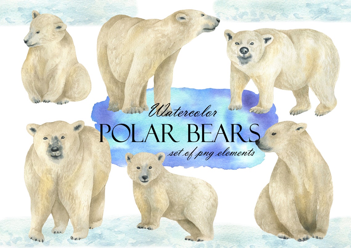 Watercolor Polar Bears Clipart Polar Bear Family Clip Art - Etsy