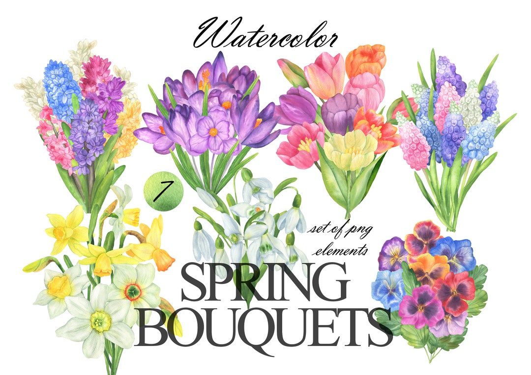 Watercolor Spring Flowers Clipart, Colored Bouquet of Tulips, Daffodils ...