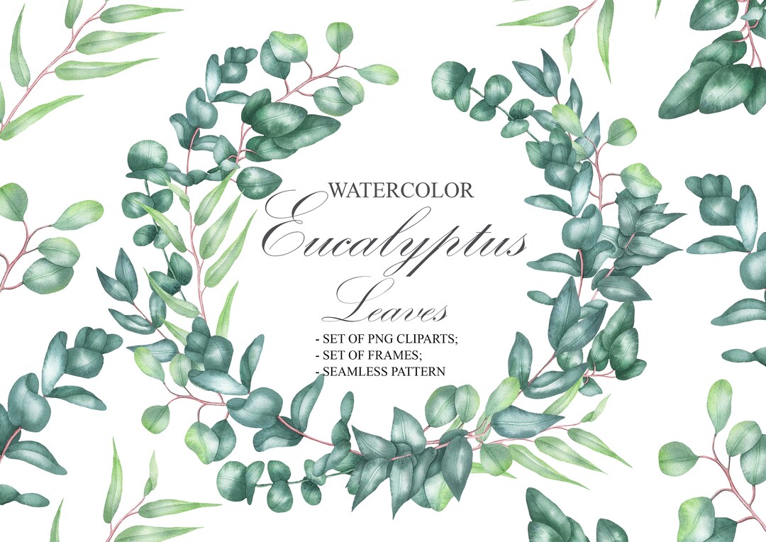 Watercolor Eucalyptus Clipart, Floral Clipart, Summer Green Leaves ...