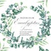 Watercolor Eucalyptus Clipart, Floral Clipart, Summer Green Leaves ...
