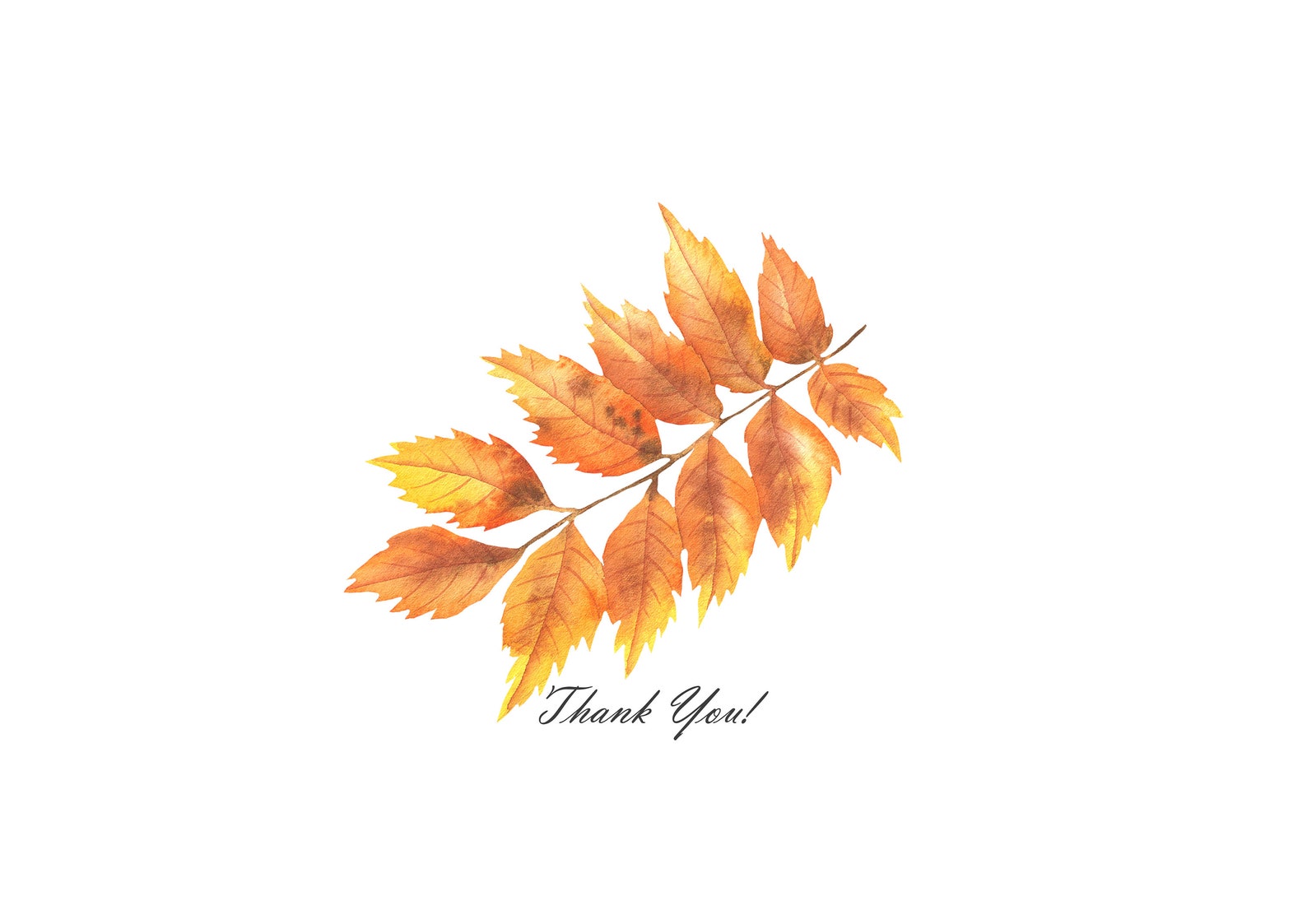 Watercolor Fall Leaves Clipart, Autumn Leaf of Chestnut, Maple, Oak ...