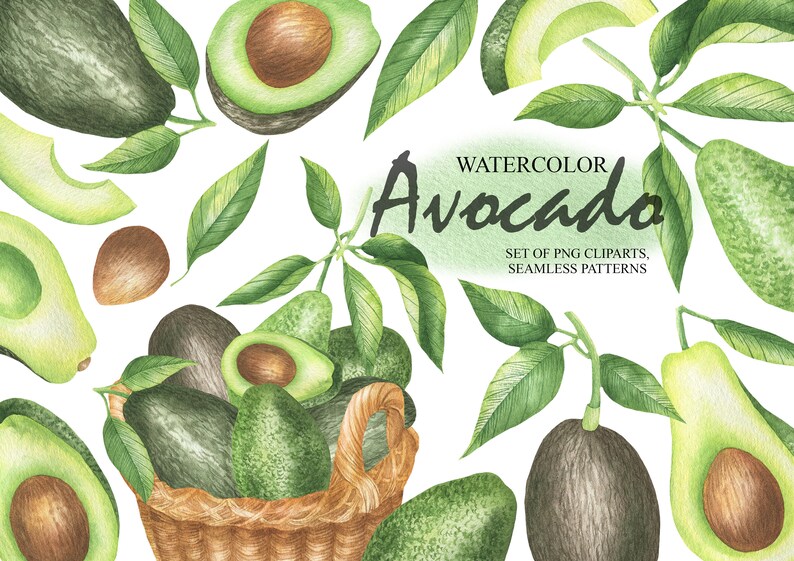 Watercolor Avocado Clipart, Tropical Fruit Clip Art, Avocado Print ...