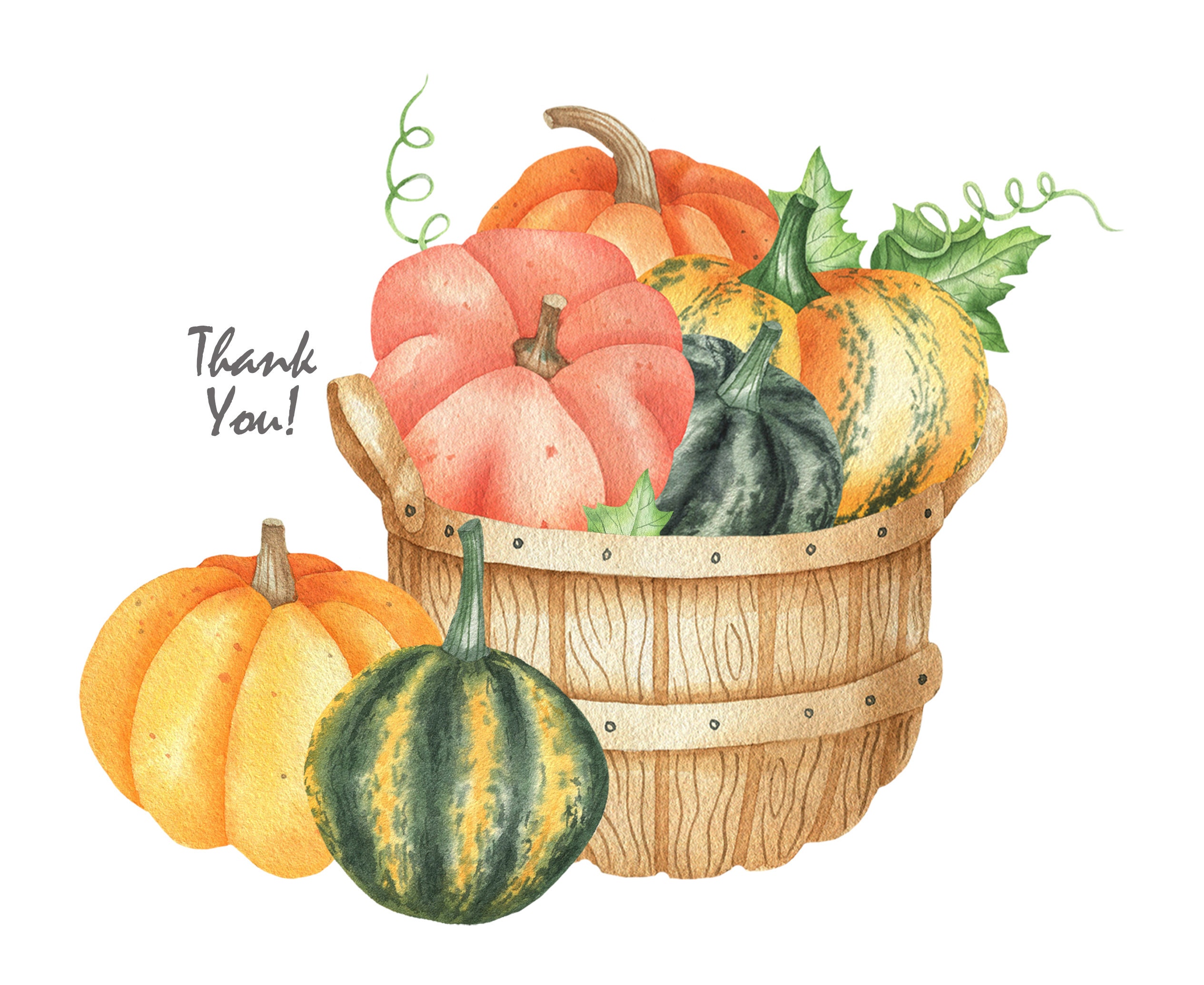 Fall Pumpkin PNG Clipart. Watercolor Autumn Orange and Green Pumpkins ...