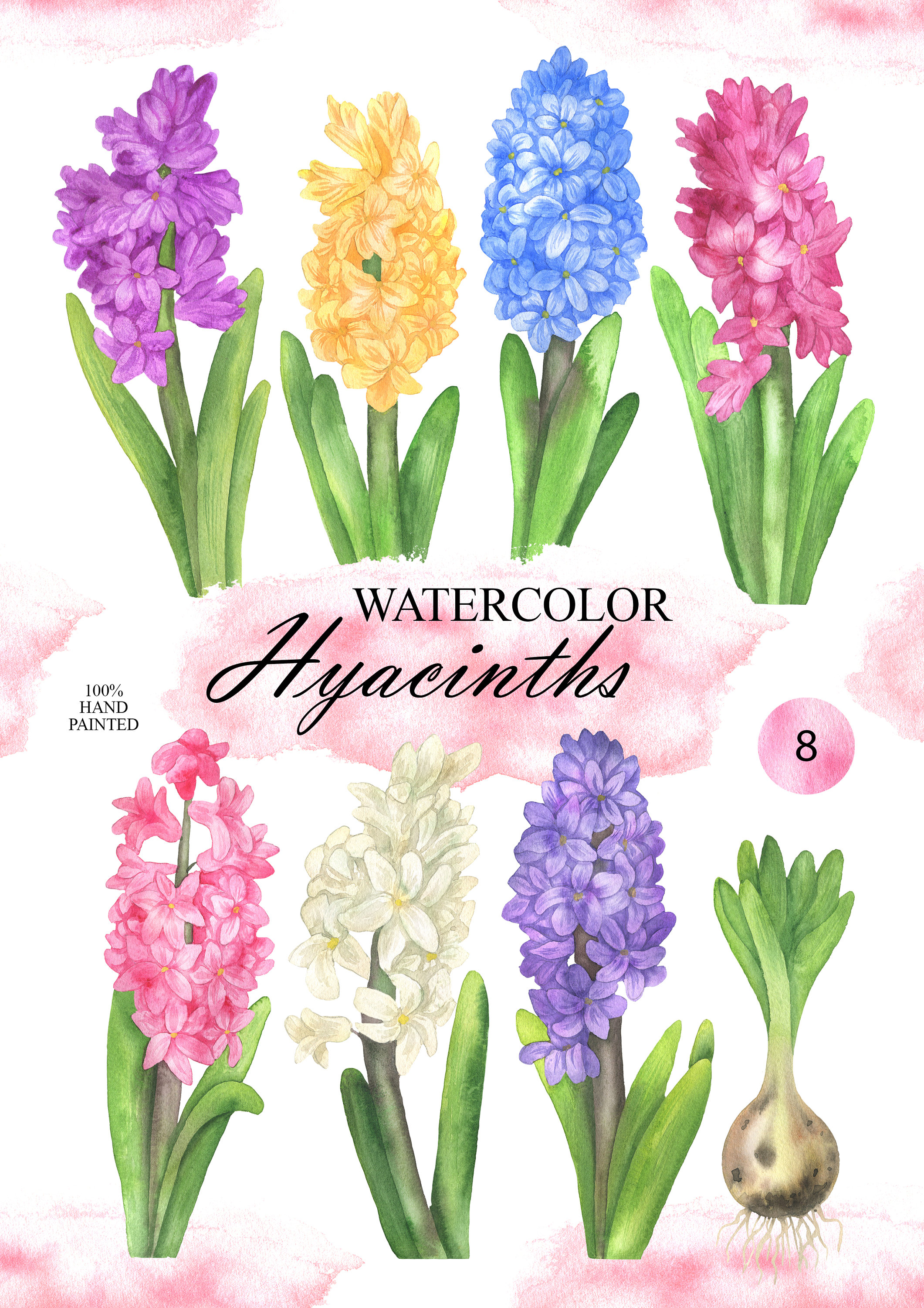 Watercolor Hyacinths Clip Art, Colored Hyacinth, Spring Flowers Clipart ...