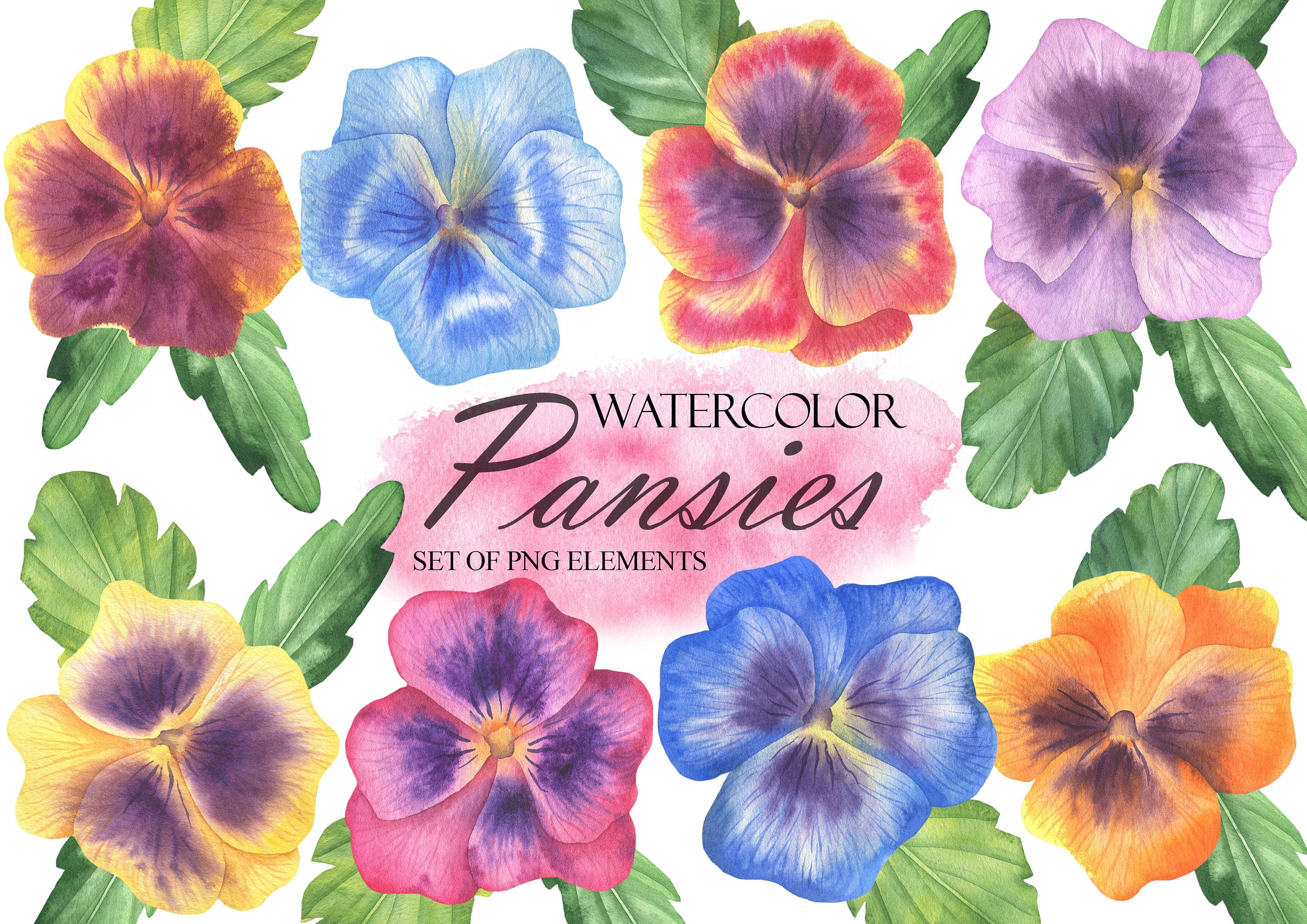 Watercolor Pansy Flowers Clipart Spring Pansies Bouquet Clip - Etsy