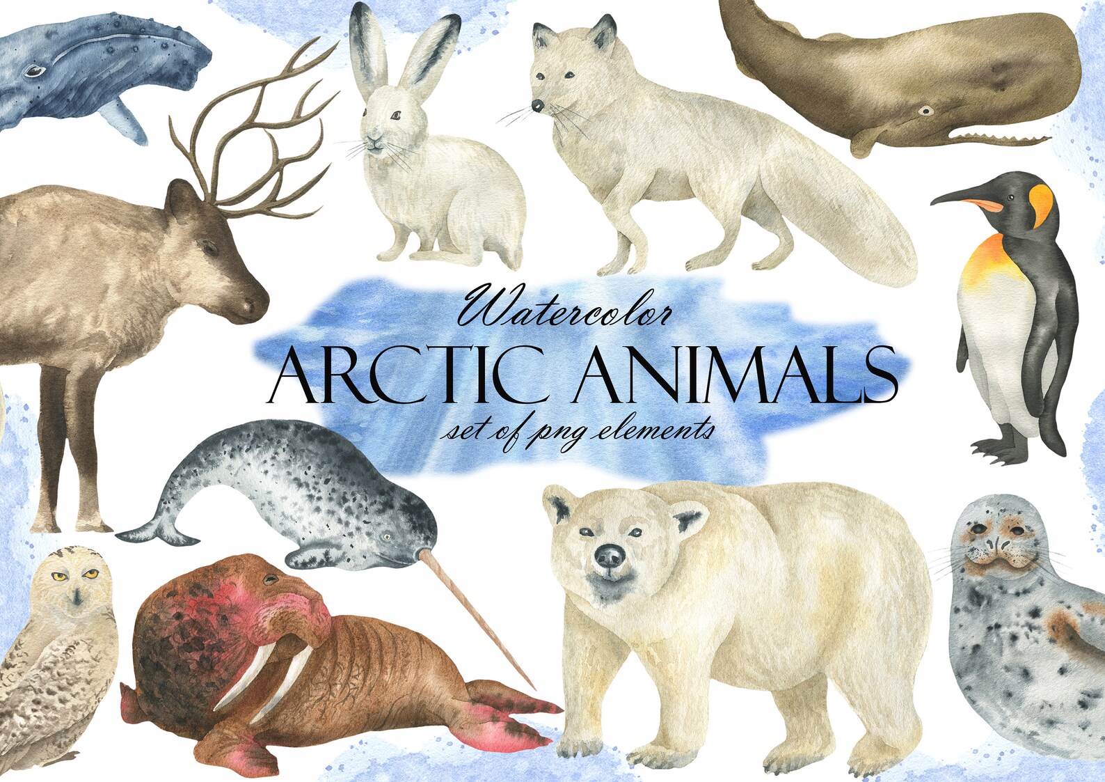 Watercolor Arctic Animal Clip Art, Polar Animals, Reindeer, Bear, Fox ...