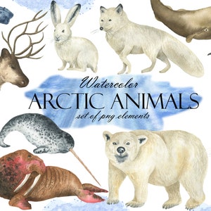 Watercolor Arctic Animal Clip Art, Polar Animals, Reindeer, Bear, Fox ...