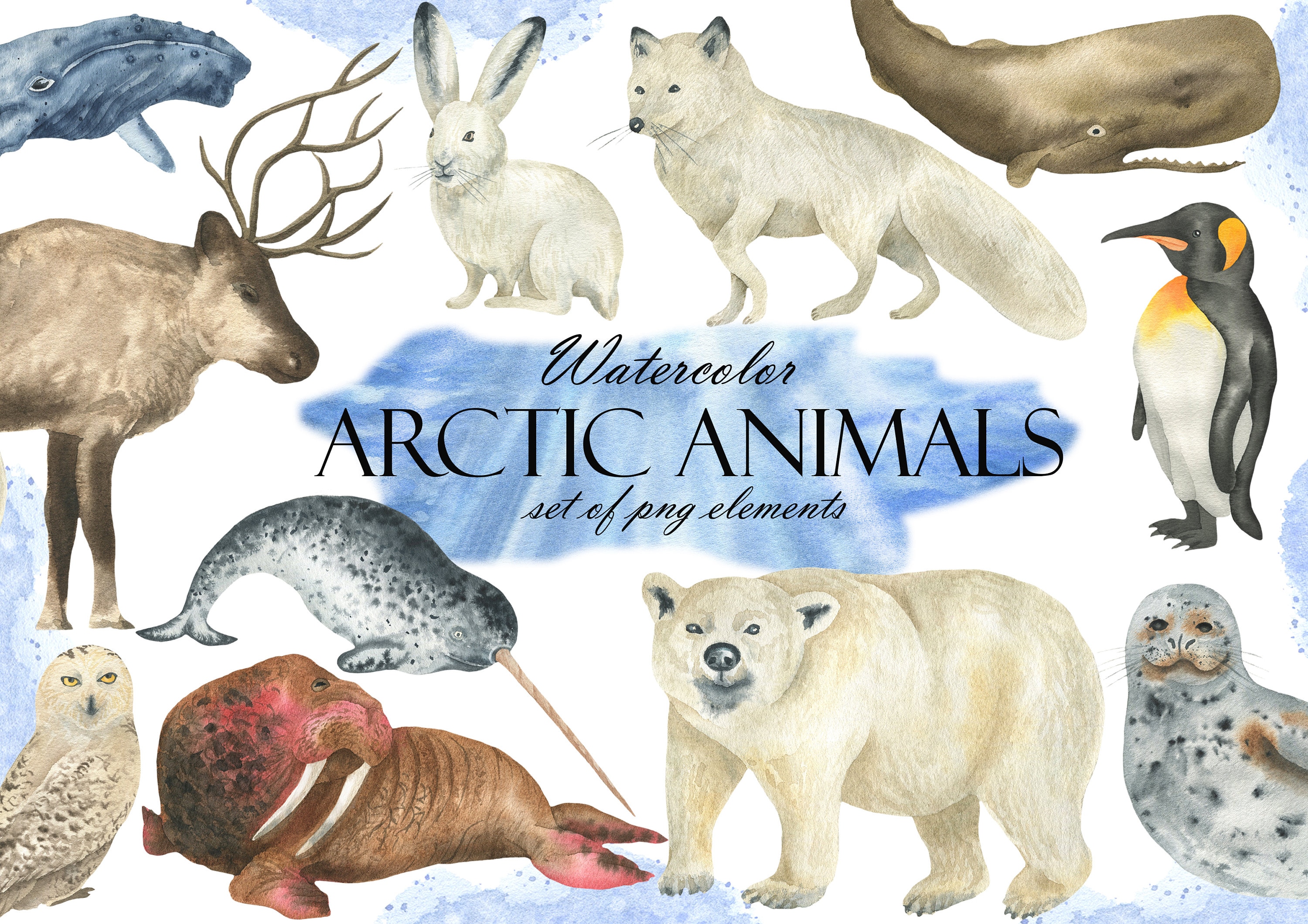 Watercolor Arctic Animal Clip Art, Polar Animals, Reindeer, Bear, Fox ...