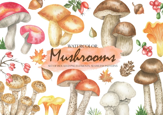 Watercolor Mushrooms Clipart Woodland Edible Mushroom Fall | Etsy