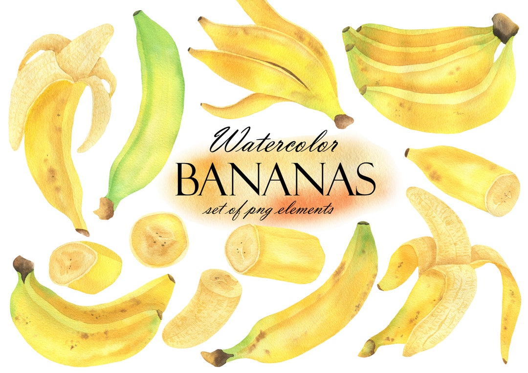 Watercolor Banana Clipart, Fresh Banana Slices, Yellow Banana Tropical ...