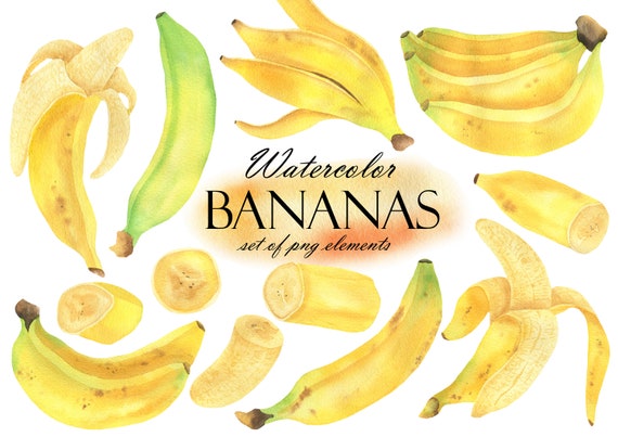Watercolor Banana Clipart Fresh Banana Slices Yellow Banana | Etsy