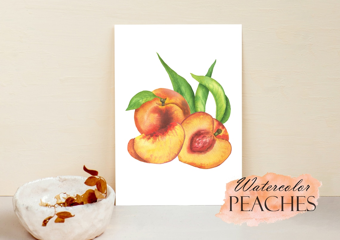 Watercolor Peach Clipart Peaches Clip Art Slices Of Peach Fresh