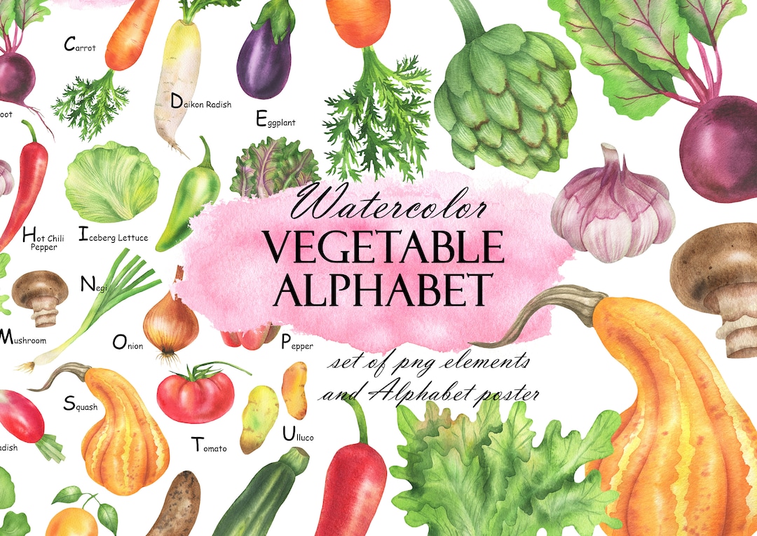 Watercolor Vegetable Alphabet Clipart, Vegetables ABC, Alphabet Poster ...