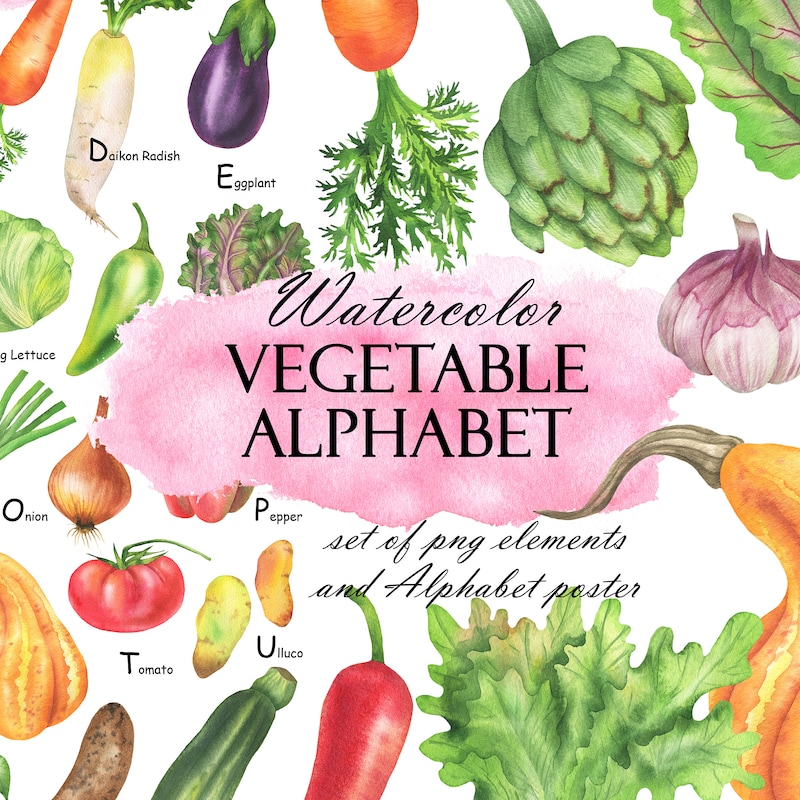 Vegetable Poster - Etsy