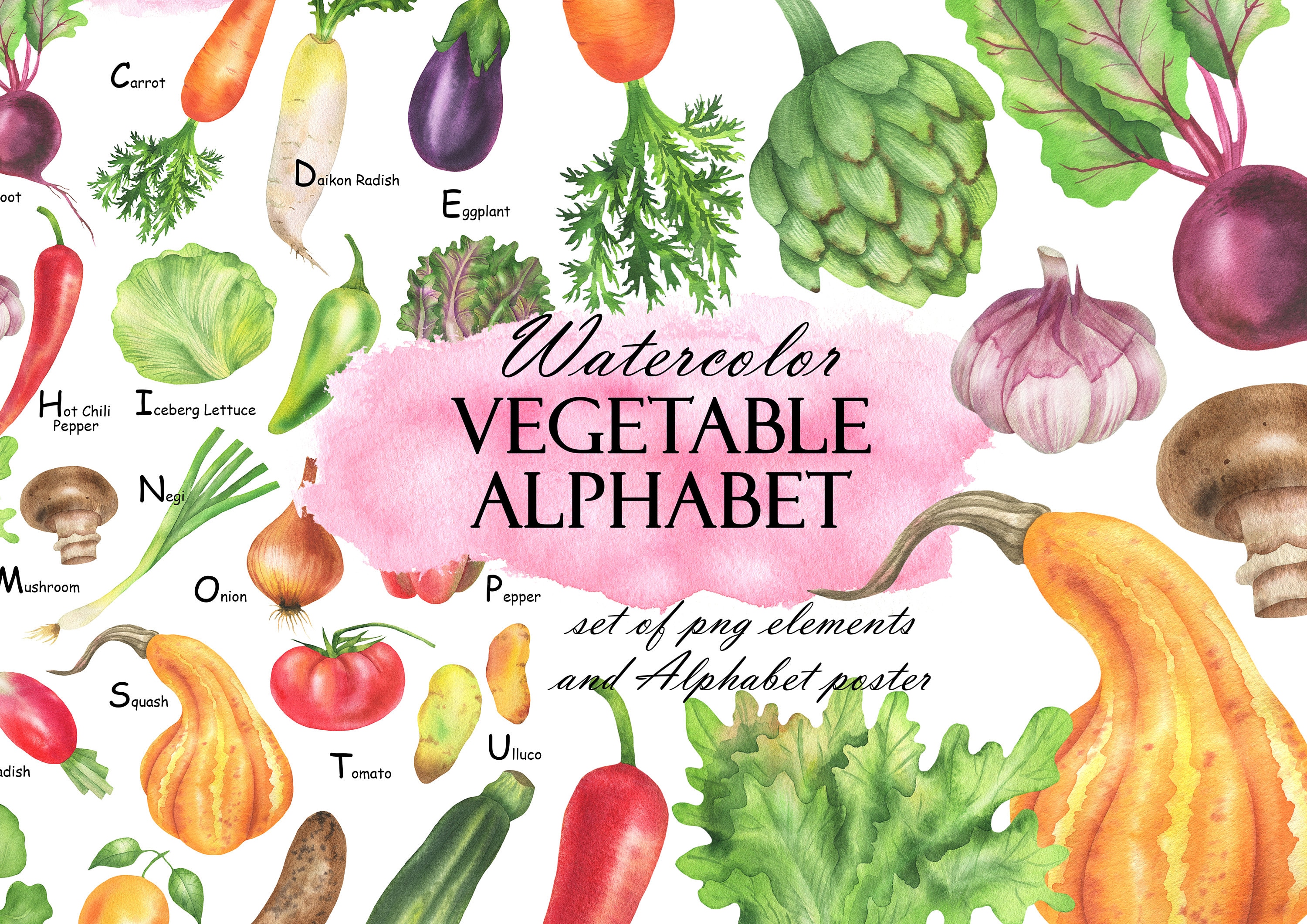 Watercolor Vegetable Alphabet Clipart, Vegetables ABC, Alphabet Poster ...