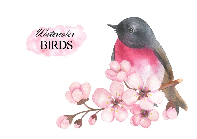 Watercolor Birds Clipart, Spring Bird Clip Art, Colorful Birds on ...