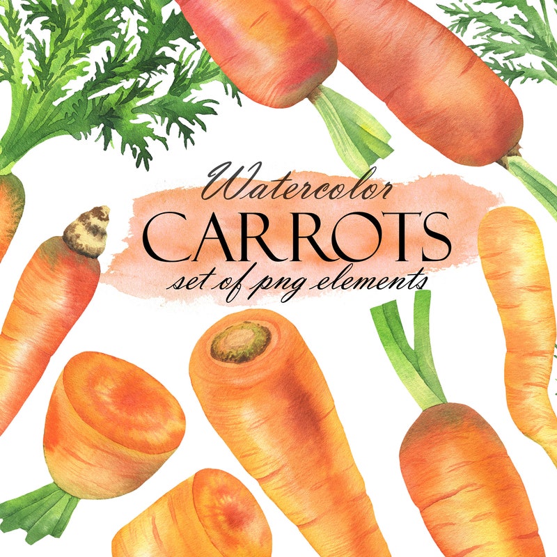 Watercolor Carrots - Etsy