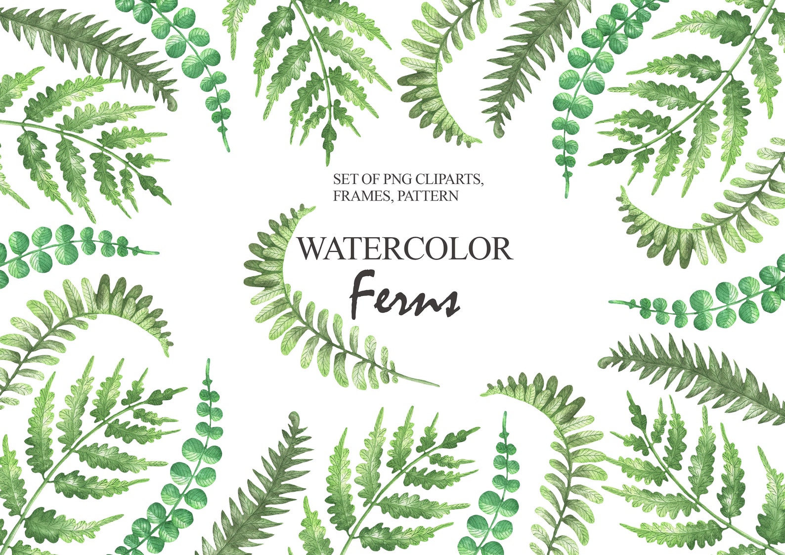 Watercolor Fern Greenery Clipart. Wedding Invitation Nature Clip Art ...