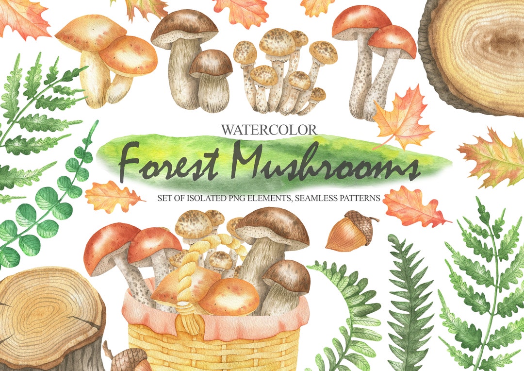 Watercolor Mushrooms Clipart, Woodland Edible Mushroom, Fall Forest ...