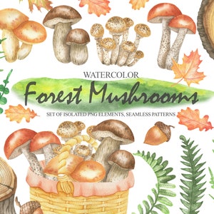 Watercolor Mushrooms Clipart, Woodland Edible Mushroom, Fall Forest ...