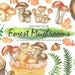 Watercolor Mushrooms Clipart, Woodland Edible Mushroom, Fall Forest ...