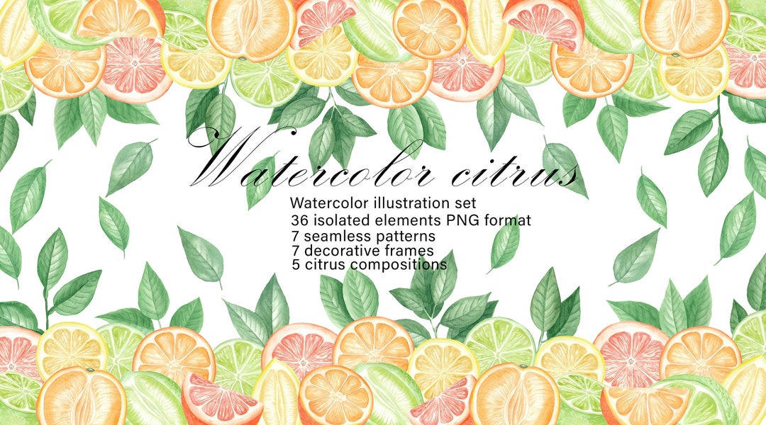 Watercolor Citrus Fruit Clipart, Fresh Summer Lemon, Orange, Grapefruit ...