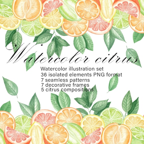 Grapefruit Clipart Watercolor Citrus Clipart Citrus Fruit - Etsy