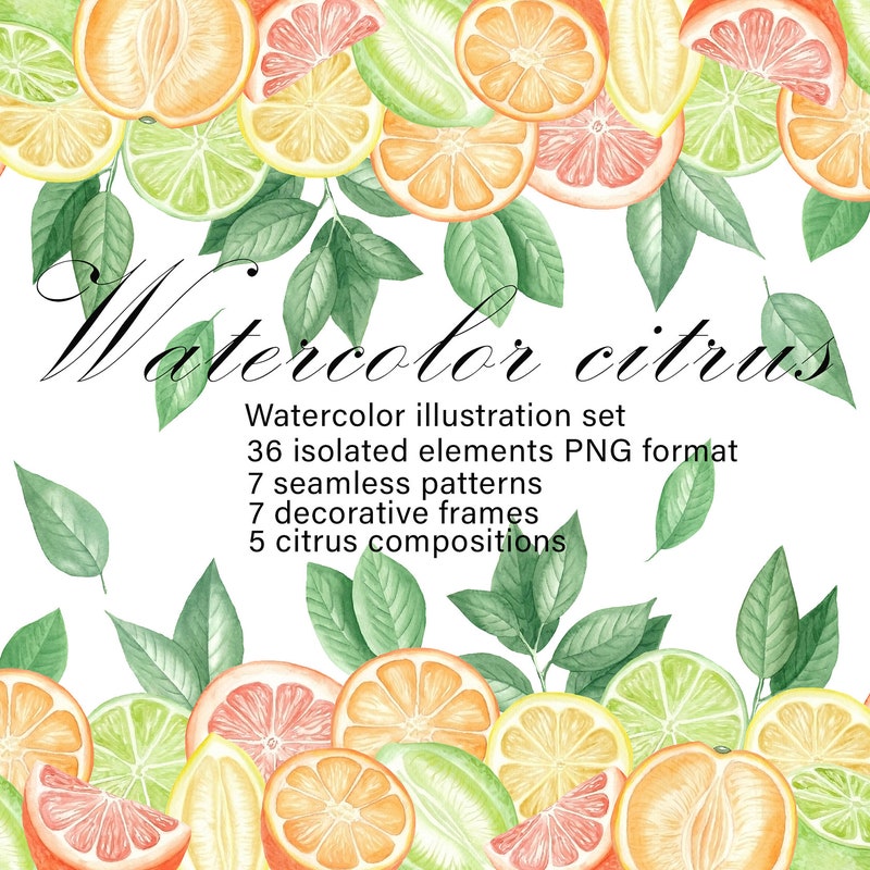 Citrus Art - Etsy