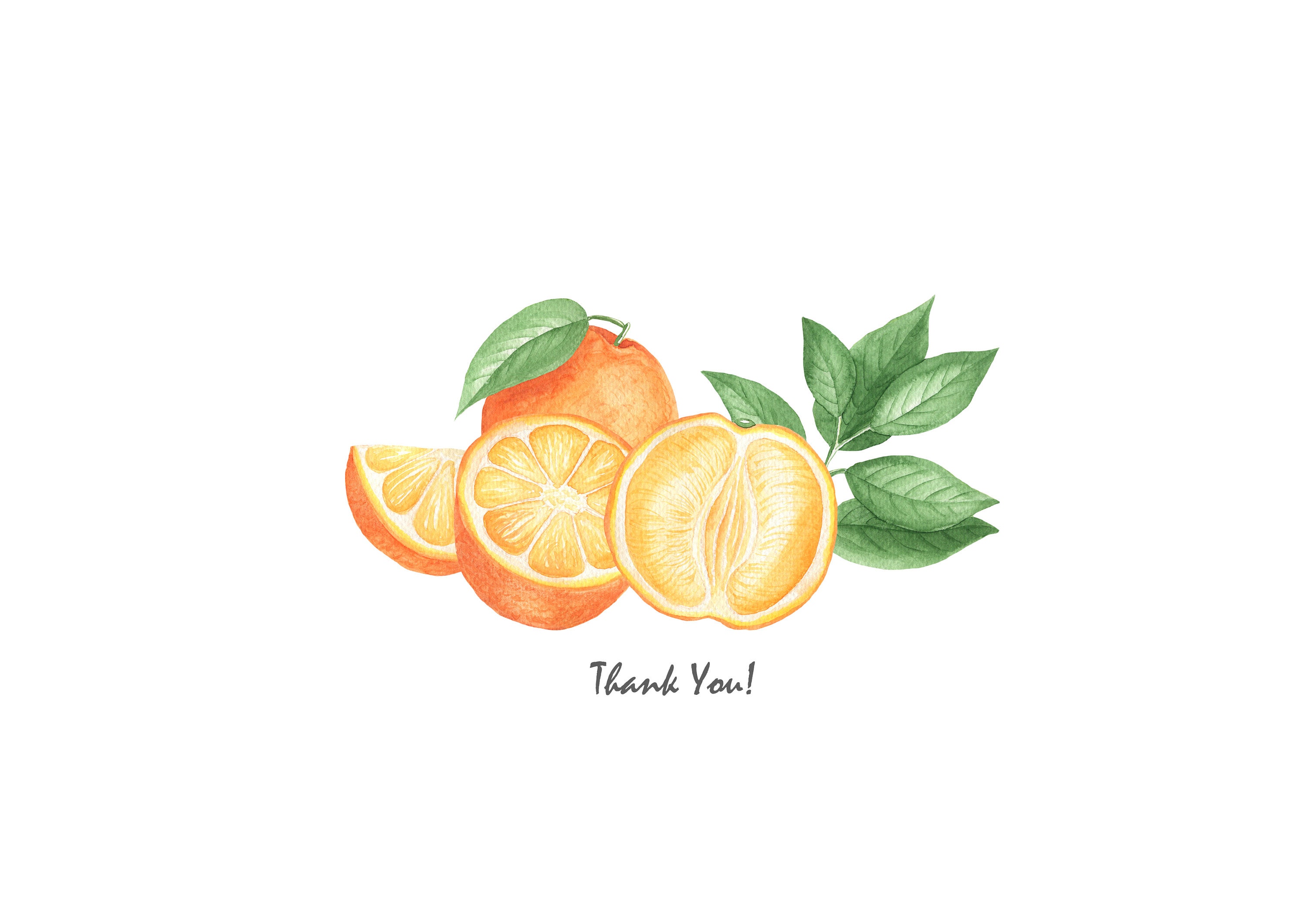 Watercolor Orange Fruit Clipart Citrus Fruit Clip Art Fresh - Etsy